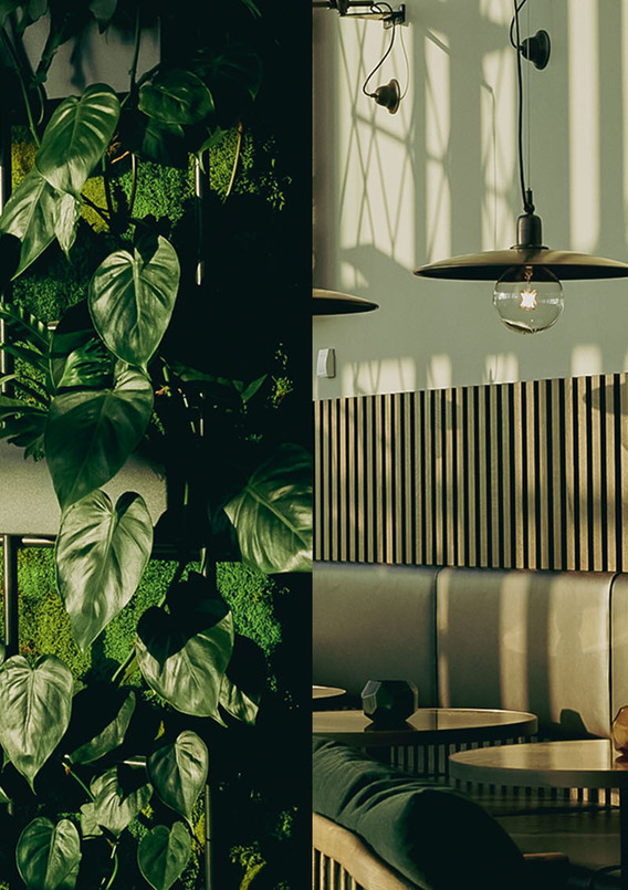 The Cloud One Hotels Affordable Lifestyle Design Hotels in New York ...