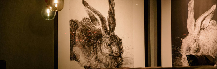 Hotel Nuremberg The Cloud One Nürnberg - Design Hotel near central station